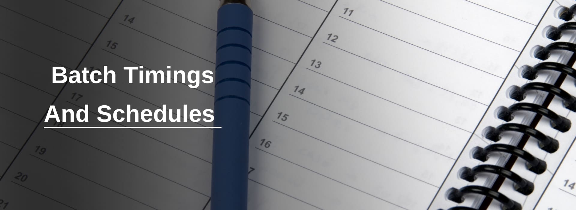 Batch Timings and Schedules - Convenient Options at Judex Tutorials